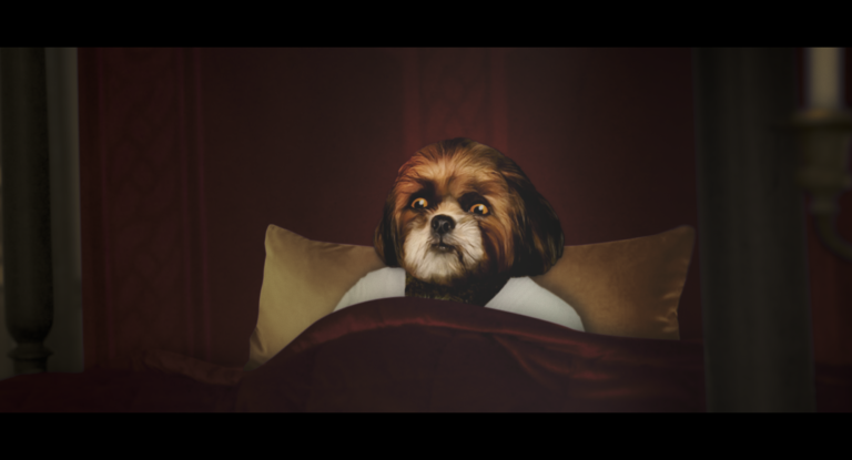 O FILME DE BRUNO ALEIXO | O Filme de Bruno Aleixo – GP 2021 ABC